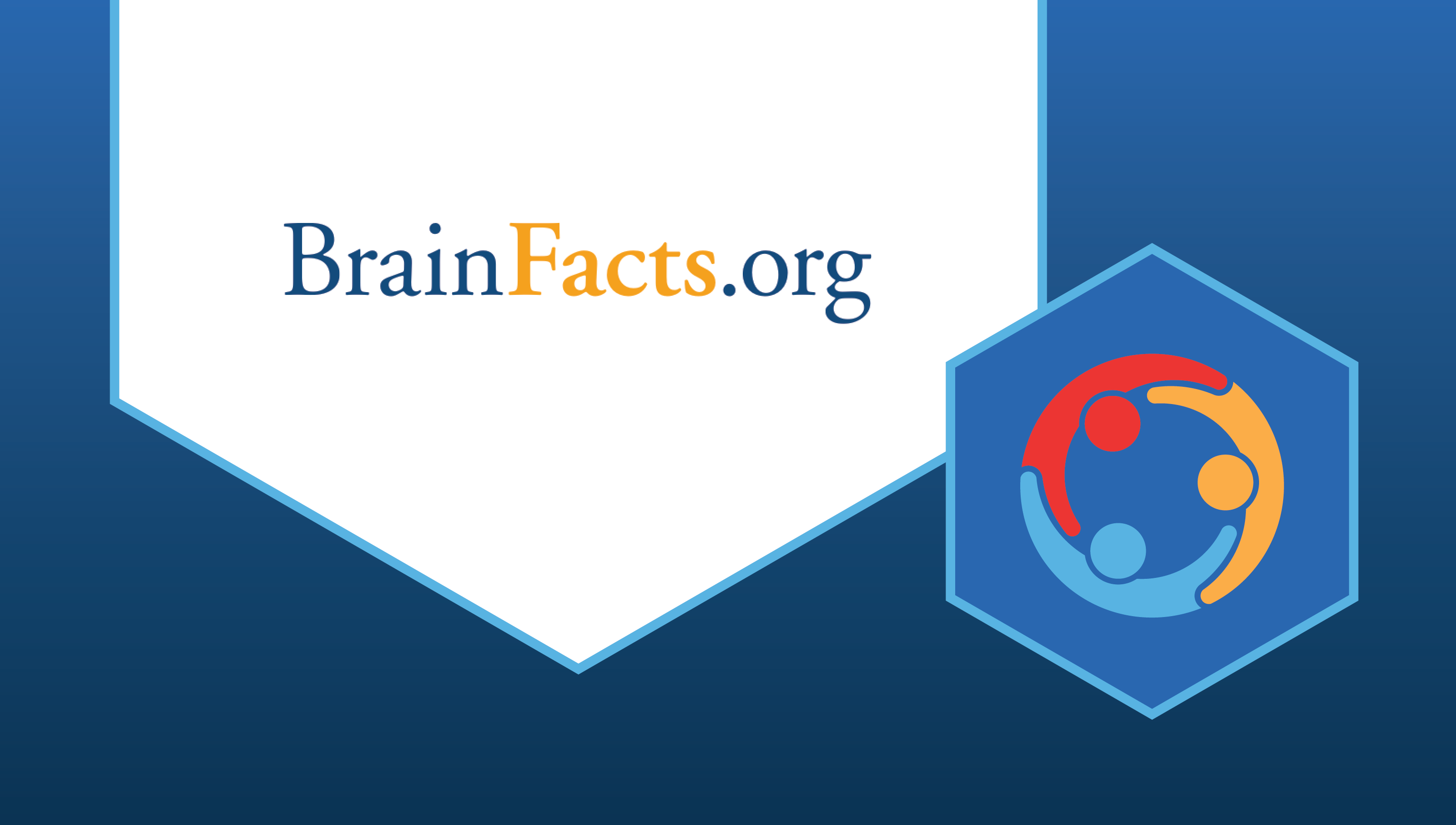 Collaborator Spotlight: Explaining the Brain With BrainFacts.org